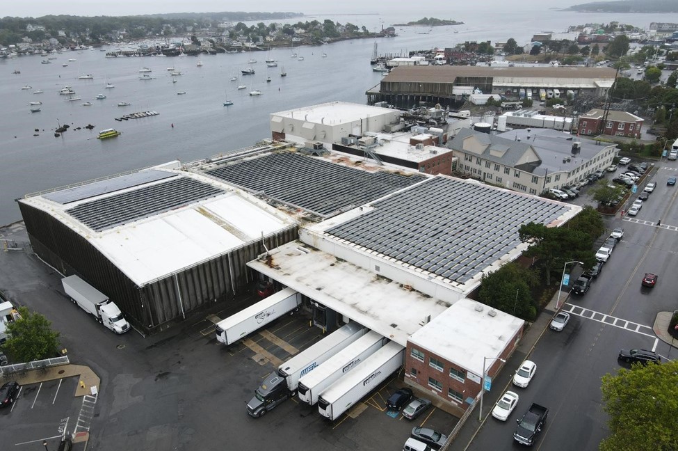 Streamline Your Seafood Cold Chain with Integrated Import and Export ...