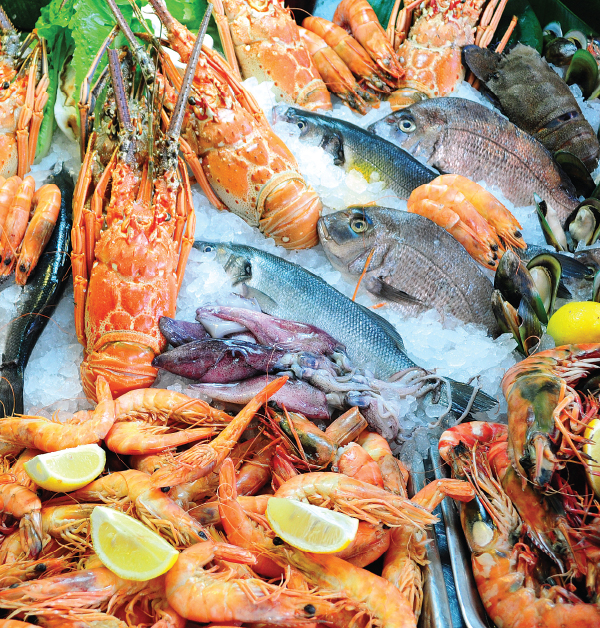 SENA - Streamline Your Seafood Cold Chain with Integrated Import and ...